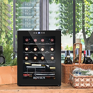 16 Bottle Wine Fridge, Freestanding Compressor Cooler Refrigerator, Beverage Wine Cooler Chiller with Digital Temperature Control & Double-layer Glass Door for Red White Wine, Champagne, Beer