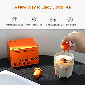 SATURNBIRD Express Rooibos Tea, Premium Instant Tea Powder, Cold Brew Tea, Freeze-drying Tech, Ice/Hot Water/Milk, Caffeine Free, No Additives, 12 Single Serve(2 Packs, 24 count total)