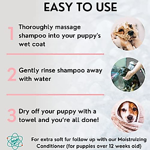 PET CARE Sciences 16 fl oz Tearless Puppy Shampoo and Conditioner - Anti Itch Dog Shampoo Sensitive Skin - Coconut Oil Oatmeal Pet Shampoo for Puppies