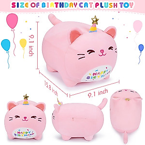 Pink Birthday Cat Plush Stuffed Animals-Gifts for Girlfriend, 16'' Pink Cat Plush, Kawaii Plushies Cat Body Pillow Cat Plushie, Kitten Plush Throw Pillow Sleeping Pillow Kids Birthdays Gifts