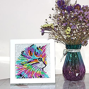 FURDOHAI 5d Diamond Art for Kids Suitable for Ages 6-12 Diamond Art and Crafts Creative Gift (cat)
