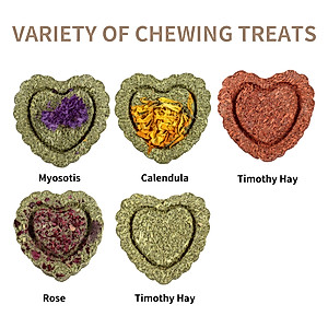 YAODHAOD 20PCS Bunny Chew Toys, Small Animal Natural Timothy Grass Cake Chew Molar Toys for Rabbits Bunnies Guinea Pigs Hamsters Gerbils and Other Small Animals Pet Treats Toys (Grass Biscuit)