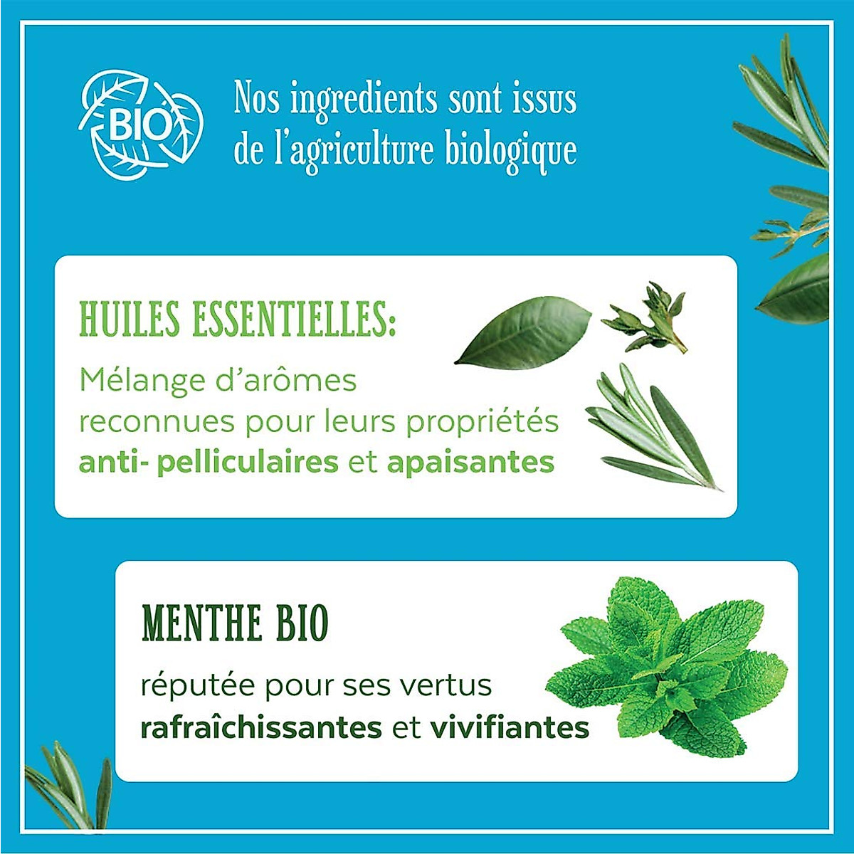 Le Petit Marseillais SHAMPOO ANTI DANDRUFF MINT ESSENTIAL OIL