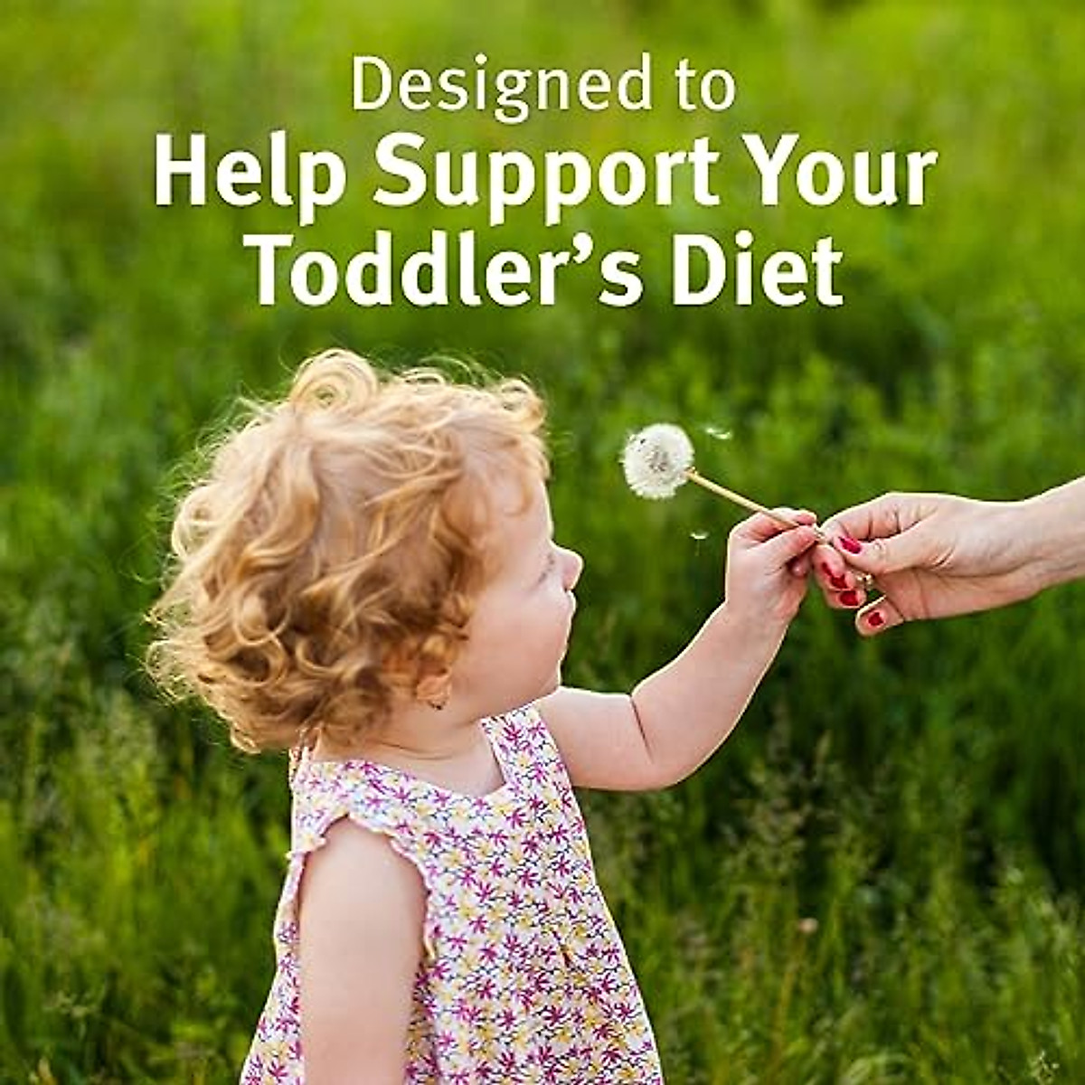 Pure Bliss by Similac Toddler Drink with Probiotics, Starts With Fresh Milk From Grass-Fed Cows, Non-gmo Toddler Formula, 24.7 Oz (Pack of 6)