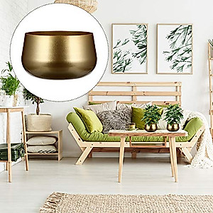 Happyyami All Golden Tool Modern Living Pot Decorative Room Simple Desktop Plan Patio Home Iron Decor Bonsai Wedding Garden Gardening Hole Cactus House Table Flower Metal Flowers Plant