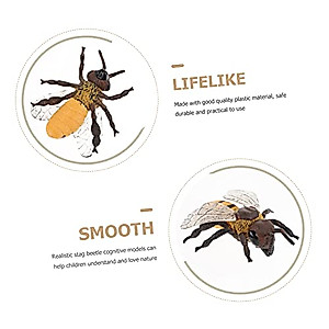 Yardenfun 1 Set Stag Beetle Growth Week Little Critters Toys Educational Toys for Kids Spider Toy Honey Life Cycle Models Growth Statue Bee Growth Cycle Plastic Honey Bee Life Cycle Models