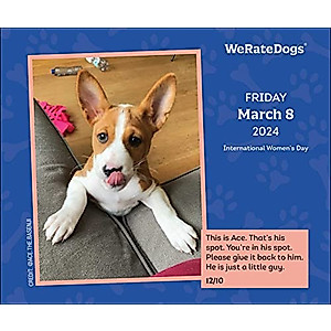 WeRateDogs 2024 Day-to-Day Calendar