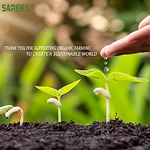 Bitter Apricot Kernels Organic Raw (10oz),0 USDA Organic Certified Seeds, NON-GMO, Product of Turkey, Gluten Free, Resealable Bag