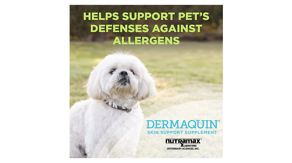 Nutramax Laboratories Dermaquin Skin Support Sm/Med Dogs 5-30 lbs ...