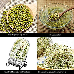 Seed Sprouting Jar Kit with 2 Wide Mouth Ma-son Jars, 2 Stainless Steel Screen Sprout Lids, 2 Blackout Sleeves, Tray, Sprouter Stand and Brush, Sprouting Kit for Growing Broccoli Alfalfa Bean Sprouts
