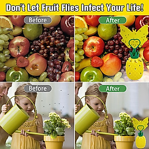 Fruit Fly Trap for Indoors, 2023 Upgrade Fruit Fly Gnat Traps for House Indoor with Yellow Sticky Pads, Non-Toxic Reusable Fruit Fly Gnat Killer Fly Catcher Comes with Bait for Plant/Kitchen (2 Pack)