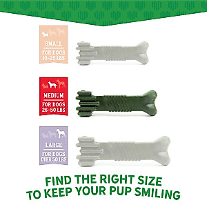 Dr. Dental Medium Fresh Chews Dental Dog Treats, Clear, 16 OZ