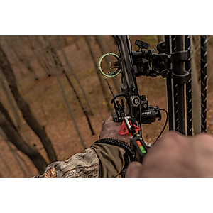 Apex Magnitude Dovetail Sight Black 5 pin .019 RH/LH