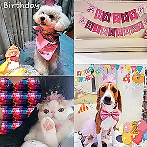 Mitili Dog Birthday Party Decorations - Pet Girl Pink Princess Style, Dog Birthday Triangle Bandana Crown Hat Tutu Scarf Collar Bow Happy Birthday for Pet Dog House Cat (4-Pack)