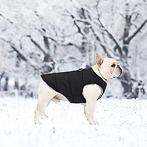 Geyecete Dog Bulldog Clothes Dog Cotton Padded Coat Thick Winter Warm Vest Waistcoat Cold Weather Jacket Clothing for French Bulldog Coat-Black-M