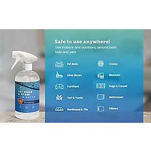 Apply Guard Professional Strength Pet Stain And Odor Eliminator for Dogs, Cats, and All Pets- Instantly Neutralize and Sanitize Tough Pet Odors and Pet Urine Stains 16oz. Cat Pee Odor Destroyer.
