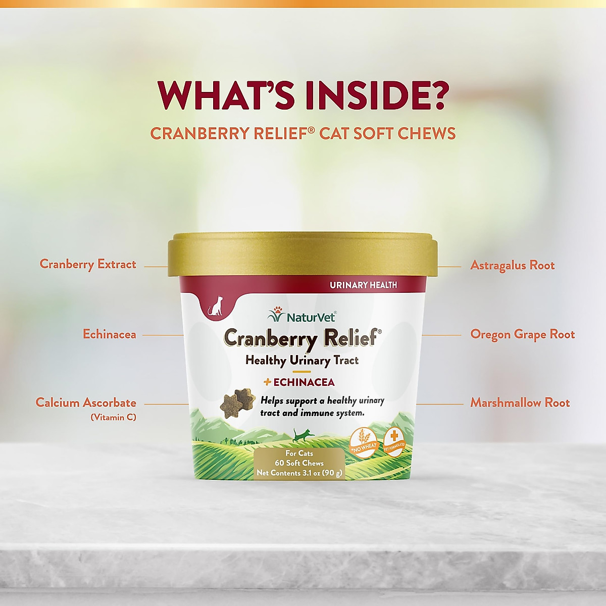 NaturVet Cranberry Relief Plus Echinacea for Cats, 60 ct Soft Chews, Made in The USA with Globally Source Ingredients