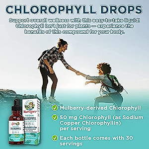 Chlorophyll Liquid Drops for Immune Support | Liquid Chlorophyll Drops | Energy Boost | Skin Care Supplement | Natural Deodorant | Vegan | Non-GMO | Gluten Free | 2 Fl Oz