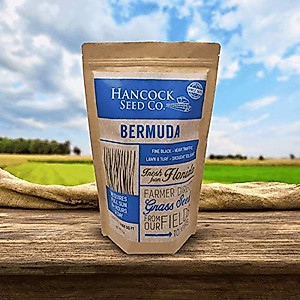 Hancock's Common Bermuda Fall & Winter Grass Seed Mix - 25 lbs.