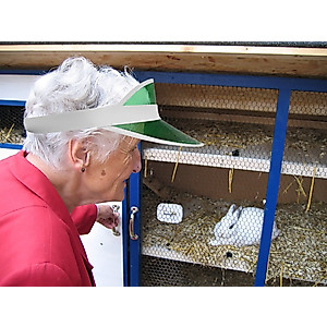 Nicky Bigs Novelties Clear Colored Plastic Sun Visor Tennis Beach Bingo Vegas Dealer Golf Casino Hat