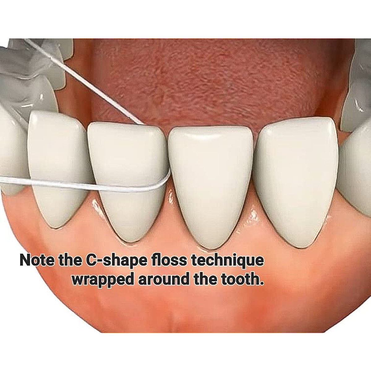 NMLifestyle Refillable, Eco-Friendly, Vegan Bamboo Charcoal Dental Floss (3x40 metres) Cruelty-Free, Natural, Waxed Peppermint Floss