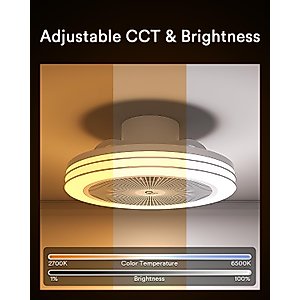 Lumary Smart WiFi & Bluetooth Ceiling Fan with RGBAI Light, 18 Inch, 6 Speeds, Reversible - Compatible with Alexa, Google Assistant, Remote Control