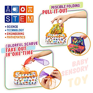 EFO SHM Baby Tissue Box Toy - Baby Toys 6-12 Months - Montessori Toys for Babies 6-12 Months, Infants Contrast Crinkle Sensory Toy for 1 Year Old Boys Girls Kids Early Learning Toys Baby Gifts