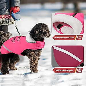 Doglay Cute Dog Coat, Warm Dog Winter Jacket Reflective Waterproof Dog Winter Coat with Thicken Fleece, Puppy Coat for Small Medium Large Dogs.