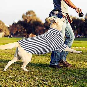 Dog Shirt, Pet Puppy Stripe Clothes, Adorable Outfit T-Shirt for Small Medium Large Male Female Cats Dogs, Breathable Soft Kitten Apparel for Birthday Party Photos Halloween Thanksgiving Christmas