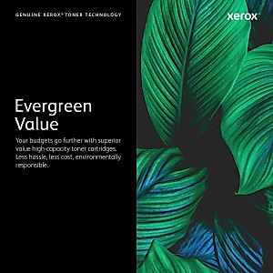 Xerox Phaser 3600 - High Capacity Toner Cartridge (14,000 Pages) - 106R01371