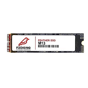 Fledging 256GB Feather M13-S PCIe NVMe Gen 3.0x4 SSD Upgrade – DIY kit & OS Included – Compatible with Apple MacBook Air (2013-2015) & Pro (2013-2016), Mac Mini (2013) & Pro (2014), iMac (2013-2019)