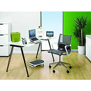 Fellowes I-Spire Series Laptop Lift/Stand, White/Gray (9311201)