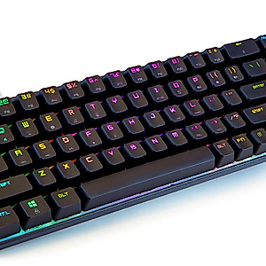 Golanhome Portable RGB Gaming Office 60 Percent Mechanical Keyboard USB 68 Keys Backlit Anti-ghosting Keyboard for PC Laptop(Blue Red Brown Switch) (Brown Switch)