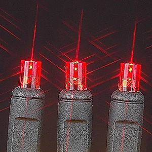 Novelty Lights 50 Light LED Christmas Mini Light Set, Outdoor Lighting Party Patio String Lights, Red, Black Wire, 11 Feet