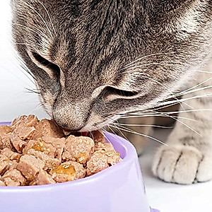 Purina Pro Plan Canned Wet Cat Food Entree 3 Flavor 6 Can with Catnip Toy Sampler Bundle: (2) Salmon Rice, (2) Turkey Rice, and (2) Chicken Pasta Spinach (3 Ounces)