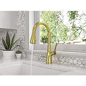 Pfister LG529-NEBG Neera Pull Down Kitchen Faucet, Brushed Gold