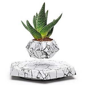 BandD Plant Pot for Succulents, air Bonsai & air Plants. Planter for Home, Office & Desk Decor. Magnetic Floating Levitating Display. (Marble)