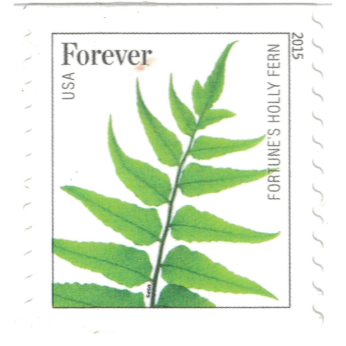 USPS Ferns Stamps - 50 Forever Stamps (5 Strips of 10 Stamps)