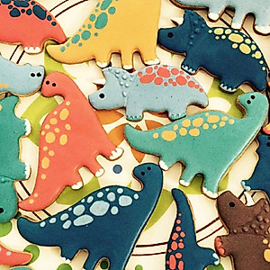 Kanntie 5-Piece Dinosaur Cookie Cutter Set with T-Rex, Baby dinosaur, Stegosaurus, Camarasaurus and Dinosaur Footprint