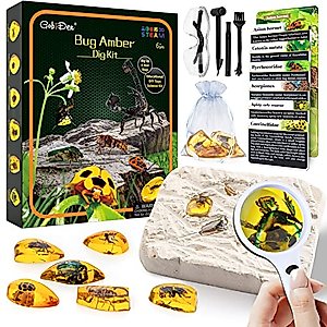 Amber Dig Kit-Artificial Insect Resin, Excavate 6 Insects Specimens, STEM Geographic Educational Bugs Toys, Excavation Toys Science Kit for Fun Bugs Party Favors, Bug Collection Kit for Kids Age 6+