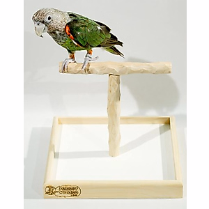 Deluxe Tabletop NU Perch - Parrot T Perch Stand