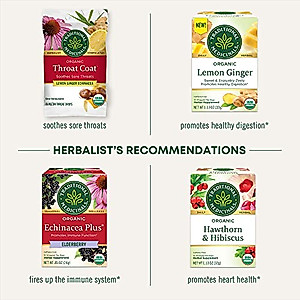 Traditional Medicinals Tea, Organic Immune Zoom Lemon Ginger, Supports Immune Function, 16 Tea Bags