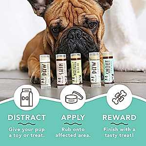 Natural Dog Company Powerhouse Bundle, Includes 5 Healing Balms that Relieve Skin Irritations, Cracked Paws and Dry Noses, Organic, All Natural Ingredients, 0.15oz Trial Sticks
