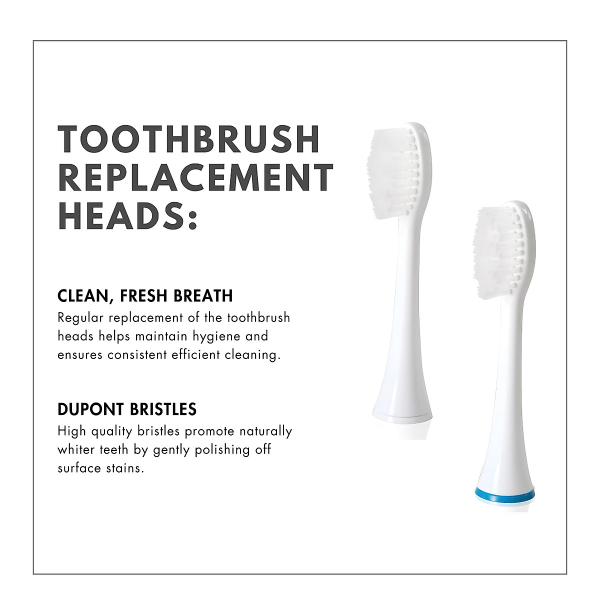 ToiletTree Products Poseidon Replacement Brush Heads for Poseidon Rechargeable Sonic Toothbrush, 2 Pack