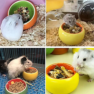 Bangminda 3Pcs Hamster Bowl Ceramic Small Animal Water Bowl Prevent Tipping Anti-Bite Ceramic Feeding Bowls for Guinea Pig Gerbil Ferret Syrian Hamster Chinchilla Rat Hedgehog Bunny
