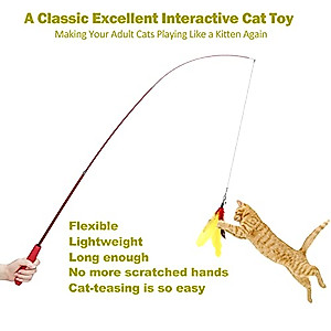 MeoHui Cat Toys for Indoor Cats, Interactive Cat Toy 2PCS Retractable Cat Wand Toy and 9PCS Cat Feather Toys Refills, Funny Kitten Toys Cat Fishing Pole Toy for Bored Indoor Cats Chase and Exercise