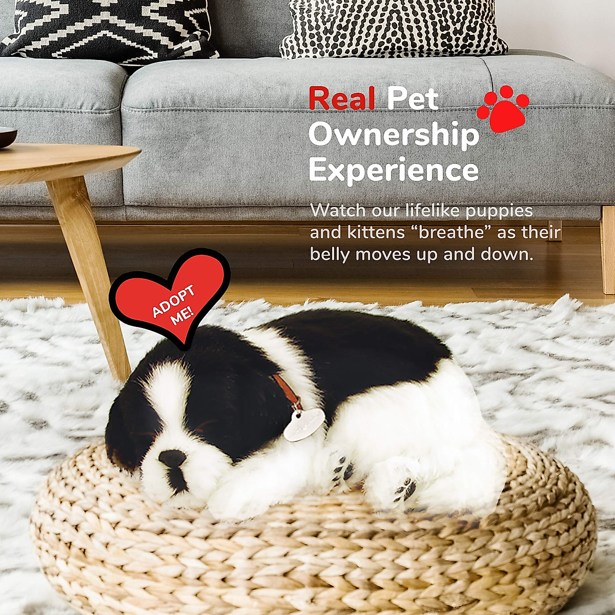 Precious Petzzz Border Collie - Pet Mate/Nap Breathing Life Like Sleeping Dog in Bed Sleeping Pet