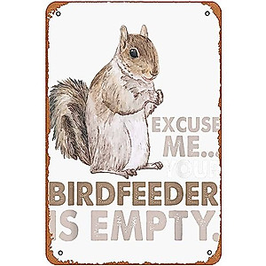 Squirrel Excuse Me Your Birdfeeder Is Empty Metal Signs Vintage Man Cave Bathroom Bar Garden Kitchen Hotel Gift 8x12inch