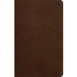 NLT Thinline Reference Bible, Filament Enabled (LeatherLike, Rustic Brown): Includes Free Access to the Filament Bible App Delivering Study Notes, Devotionals, Worship Music, and Video