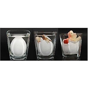 GracesDawn 12 Pack Dinosaur Egg Cute Magic Growing Dinosaur Egg Add Water Child Gift Hatching Inflatable Toy(Color Cracks)